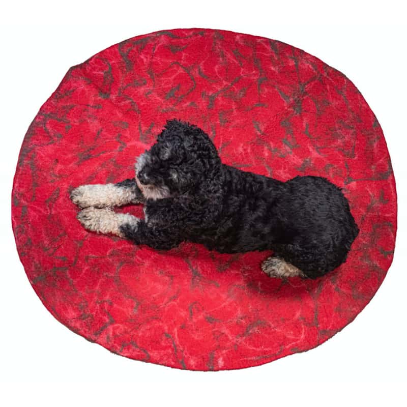 Felt Dog Mat | Durkha