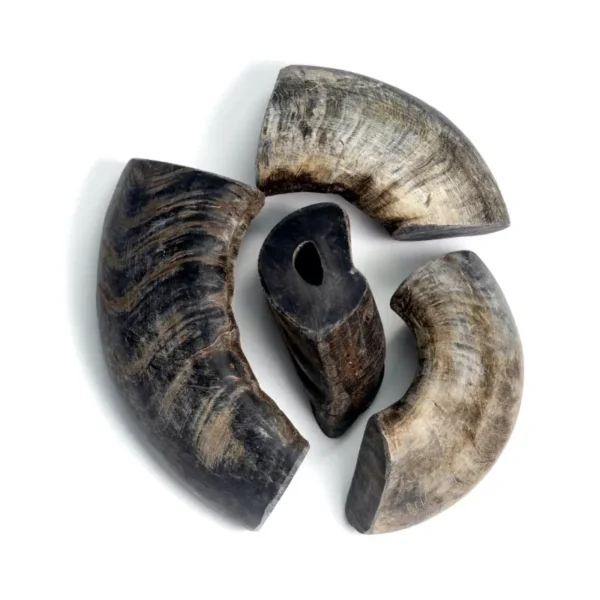 Durkha Water Buffalo Horns | Durkha Dog Chew